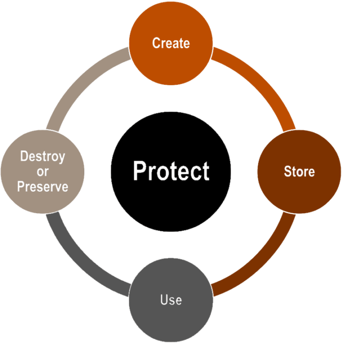 What is data lifecycle management, and why do you need it? : Iron Carrot